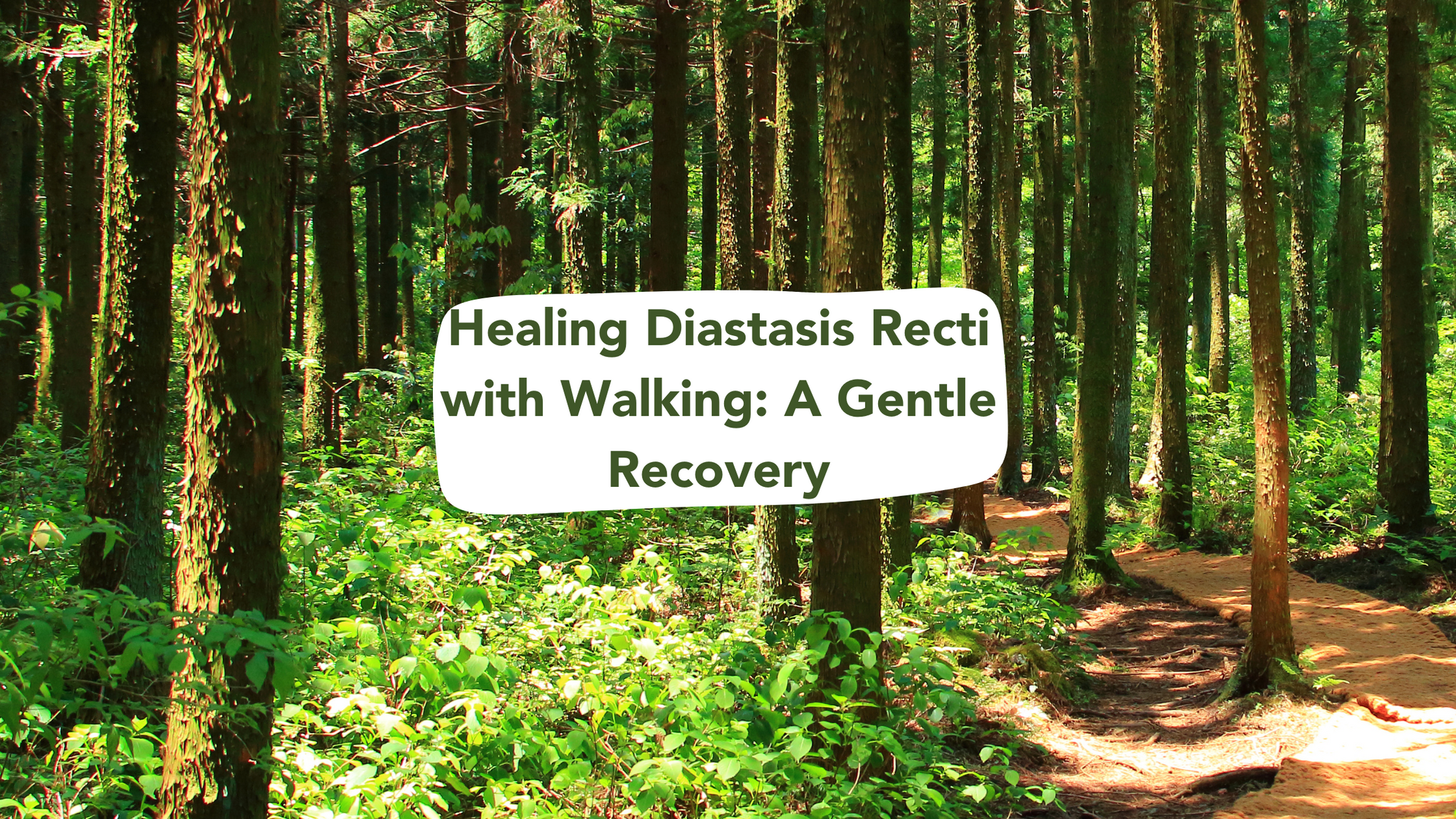 Healing Diastasis Recti While Walking: A Gentle Path to Recovery ...